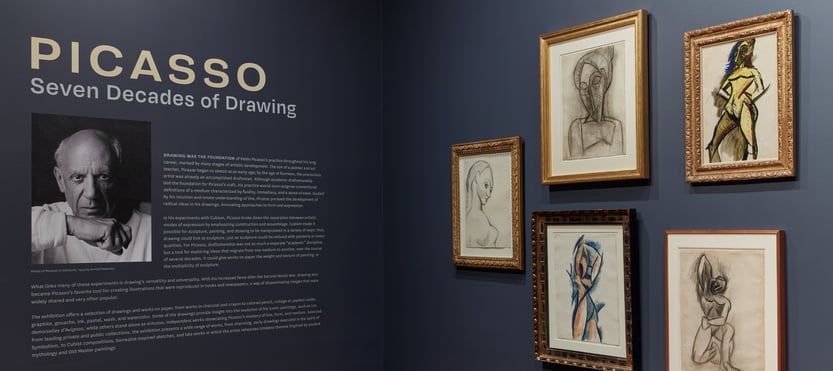 Picasso Drawings: A Guide to Auction Prices